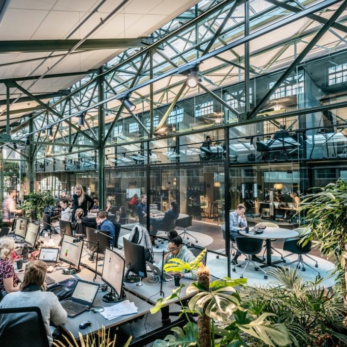 Undp Partners With Norrsken Foundation To Support The Worlds Most Promising Impact Start Ups