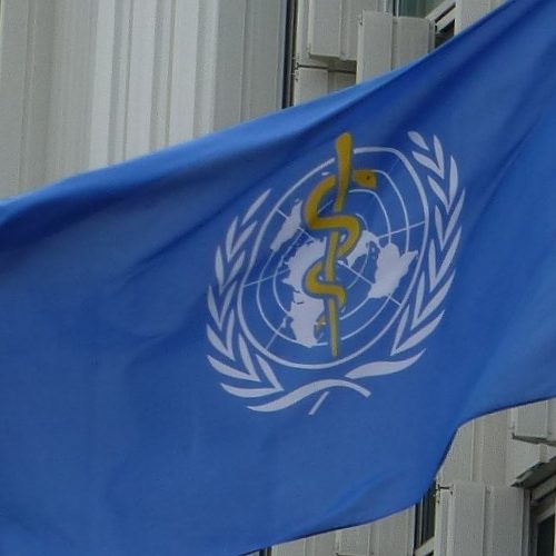 WHO and partners deliver aid to two Gaza hospitals in high-risk ...