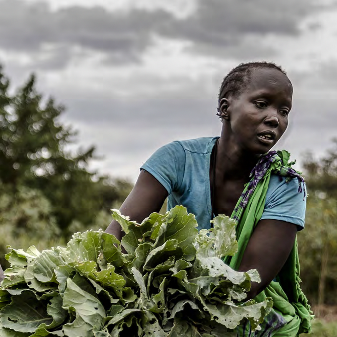 2021 State of Food Security and Nutrition in the World – Report and ...