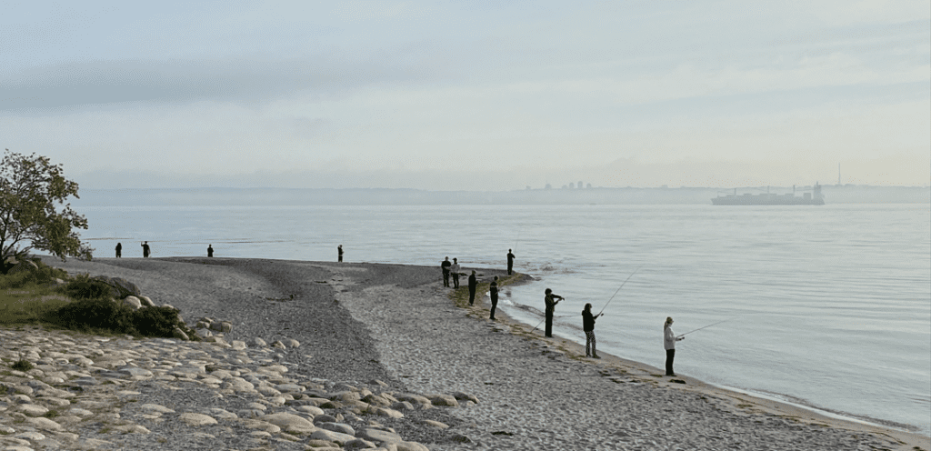 Gratis undervisning om havet og Verdensmålene - un.dk