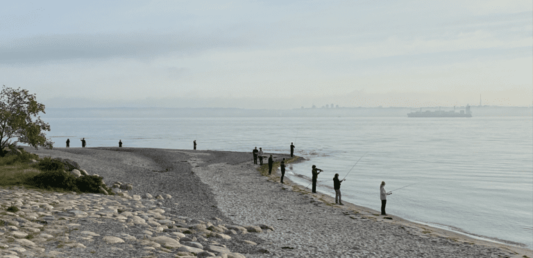 Gratis undervisning om havet og Verdensmålene - un.dk
