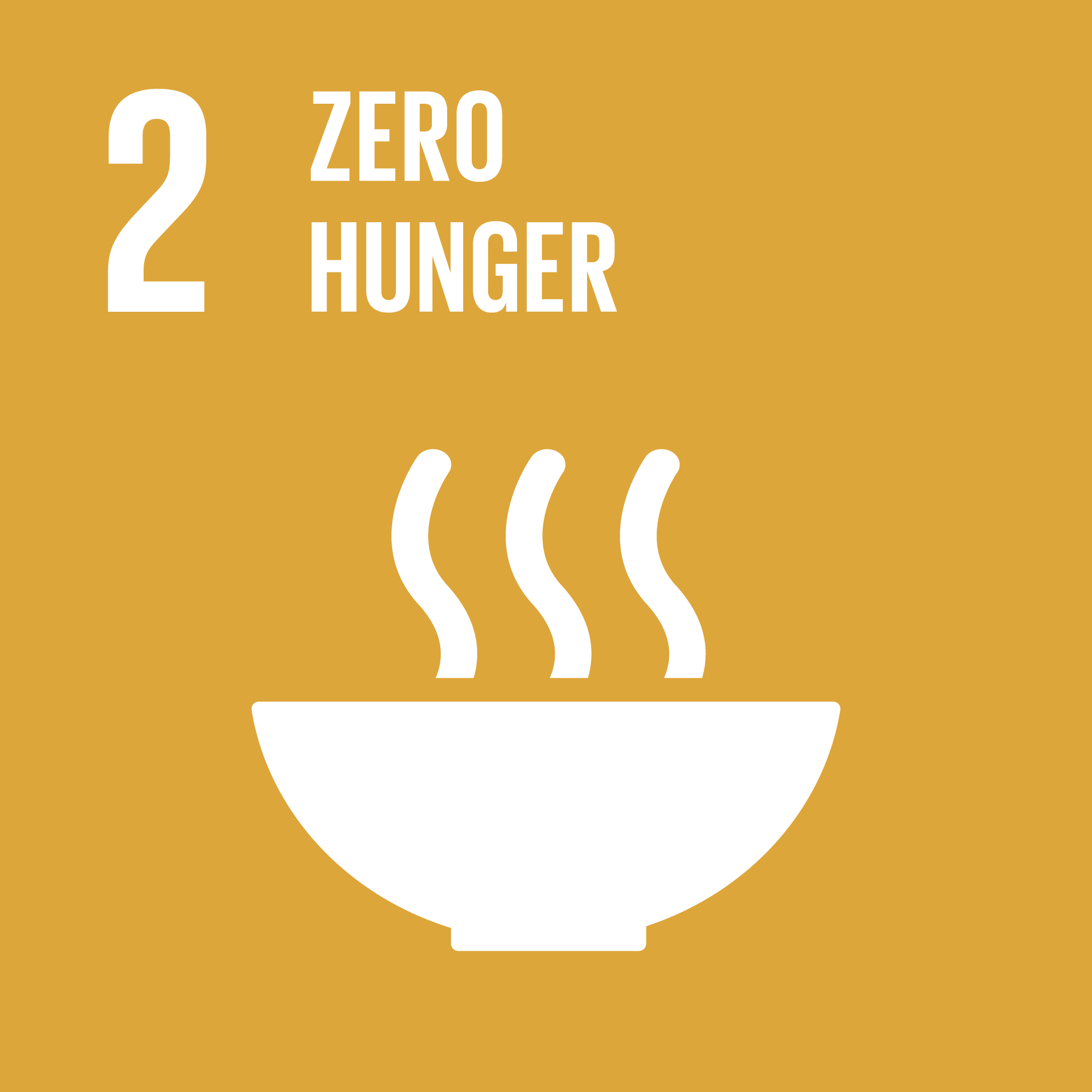 About United Nations